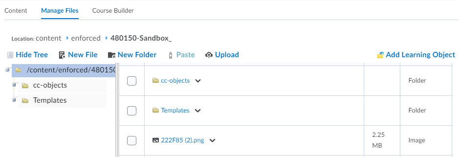 Use the Manage Files tool in myCourses